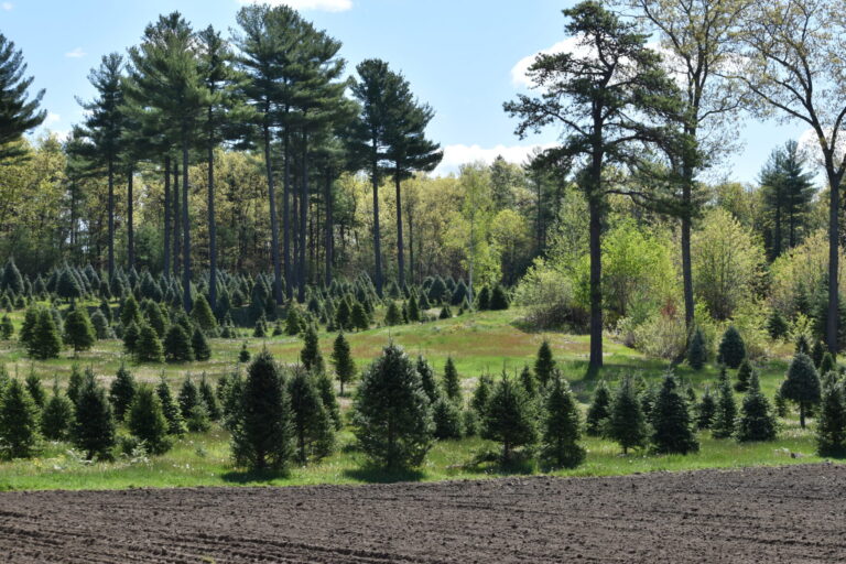 Lowell Parks & Conservation Trust